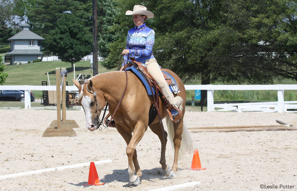 Why I Love Judging Trail Classes - Horse Illustrated